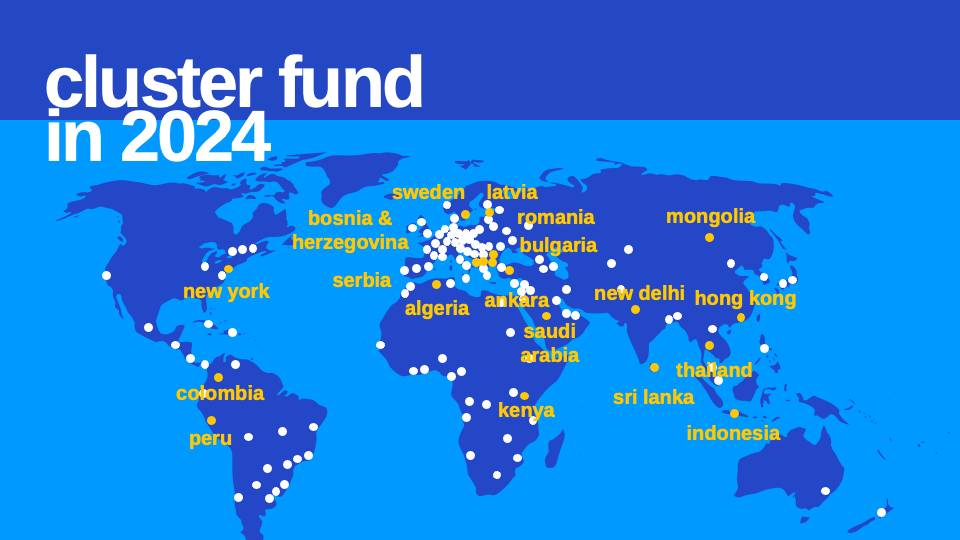 Cluster Fund in 2024